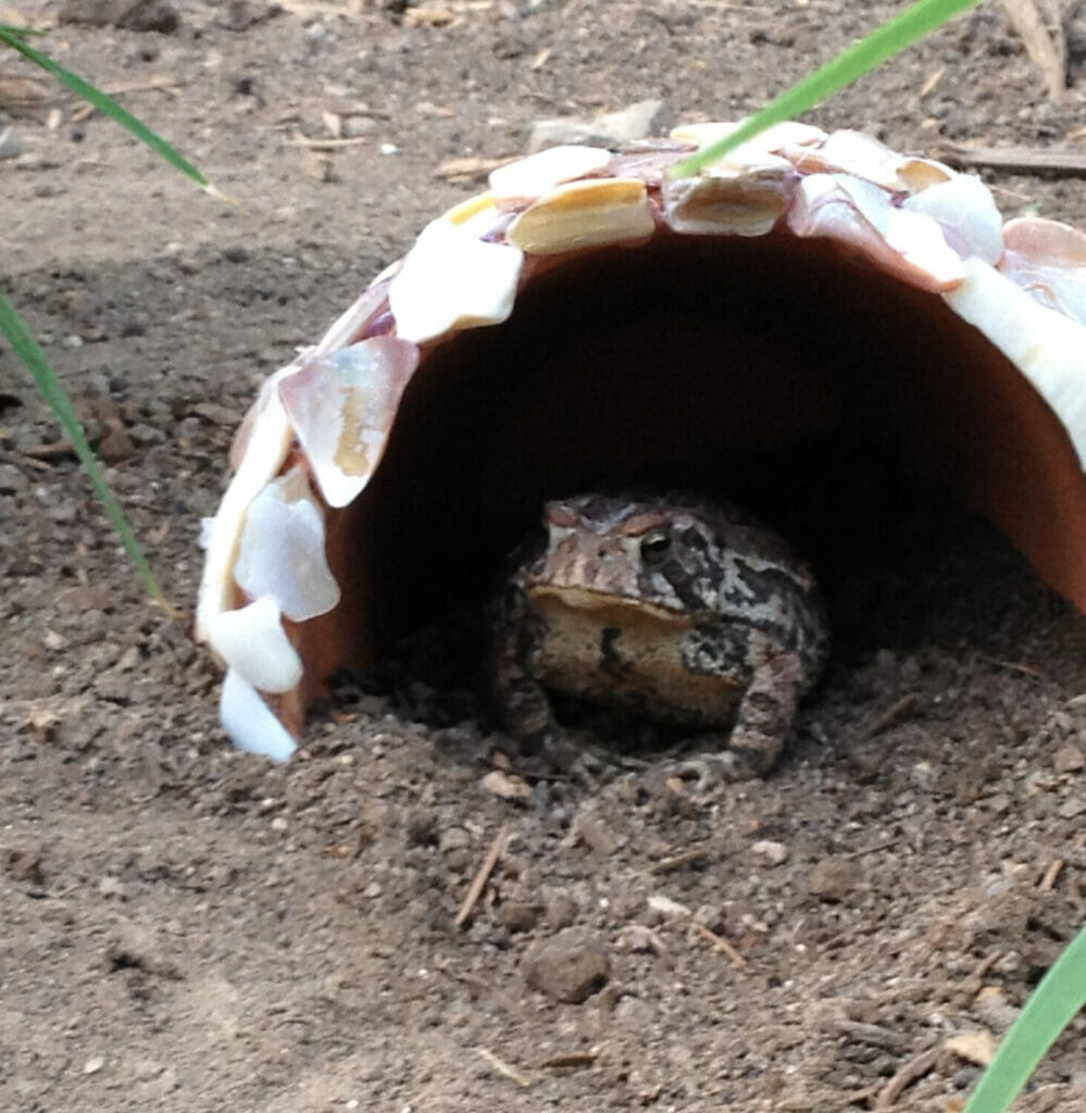 DIY Toad Houses using Clay Pots - Crafting Cheerfully