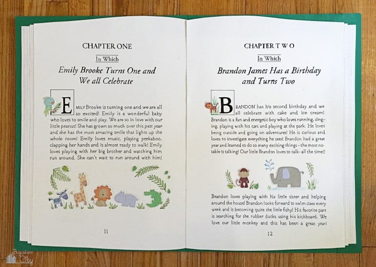 DIY Storybook Party Backdrop - Crafting Cheerfully