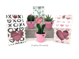 DIY Valentine's Day Cactus with Gift Box - Crafting Cheerfully