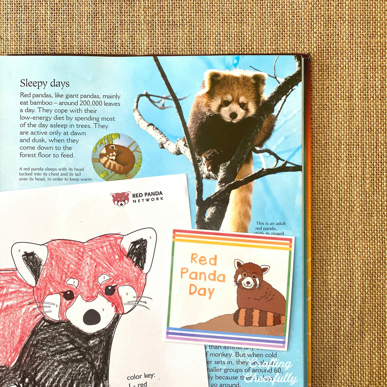 Visual Schedule Cards - Crafting Cheerfully