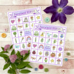 Printable Fairy BINGO Game - Crafting Cheerfully